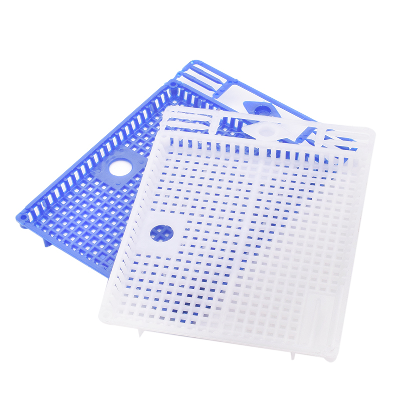 1PCS Queen Isolation And Introduction Cage Plastic Round flat queen ...