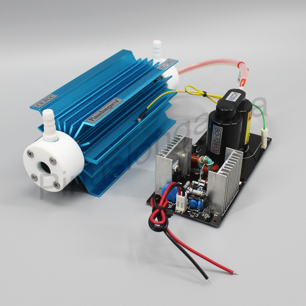 Pinus longaeva 10G/H 10grams Quartz tube type ozone generator Kit SPA ...