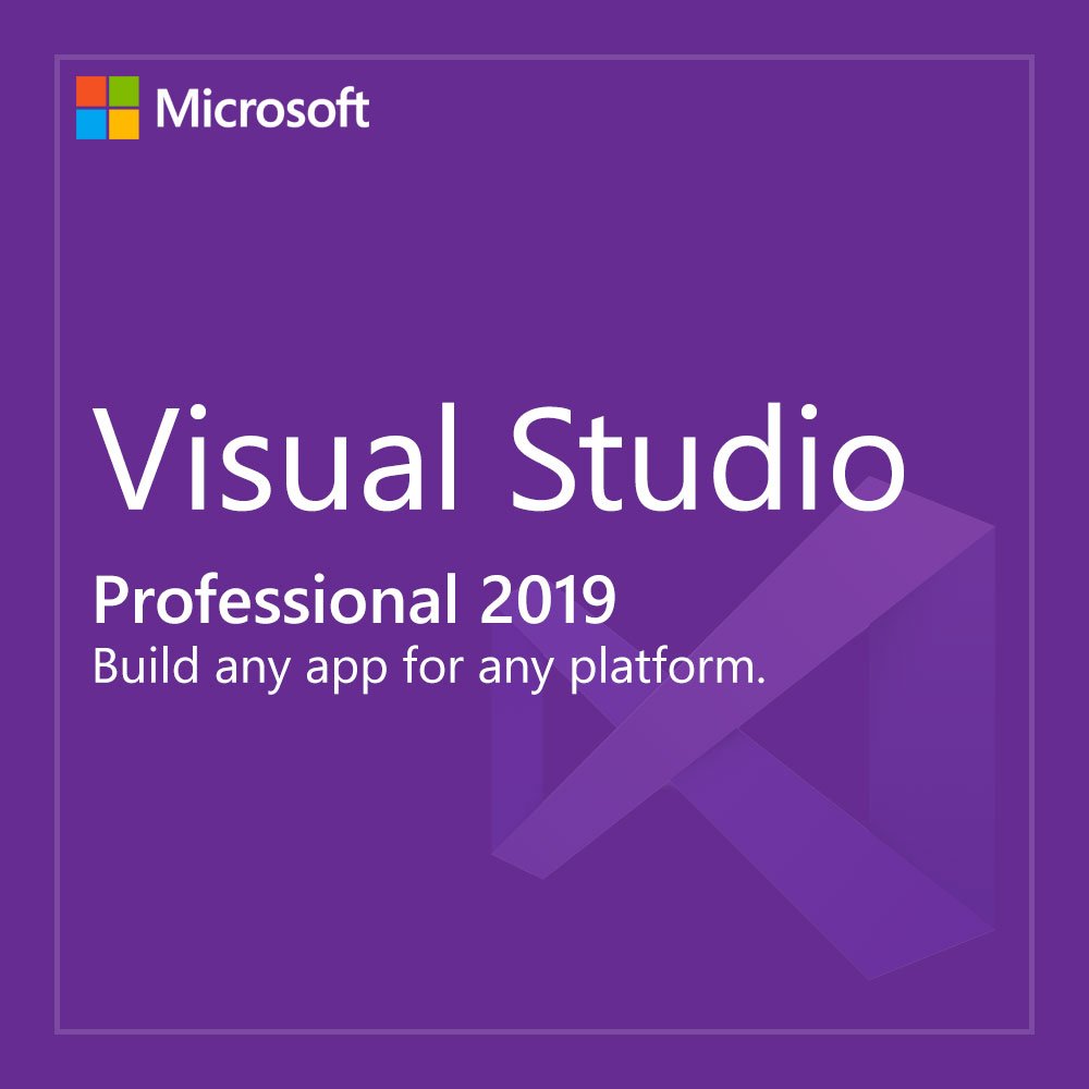 Visual studio 2019 professional - loudlaneta