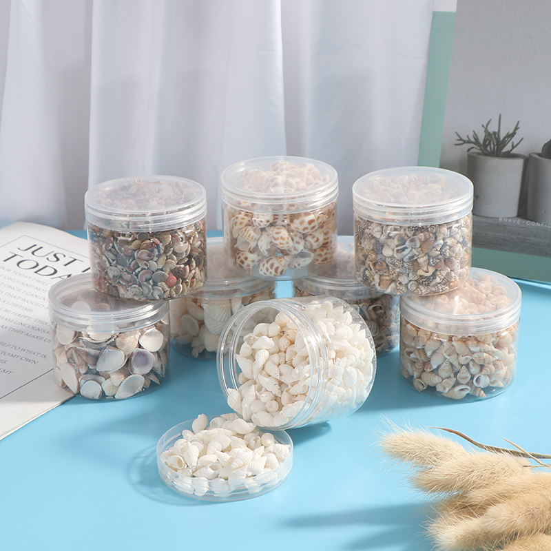 Mini coquillages de conques naturels, 1 boîte, vis de maïs, décoration ...